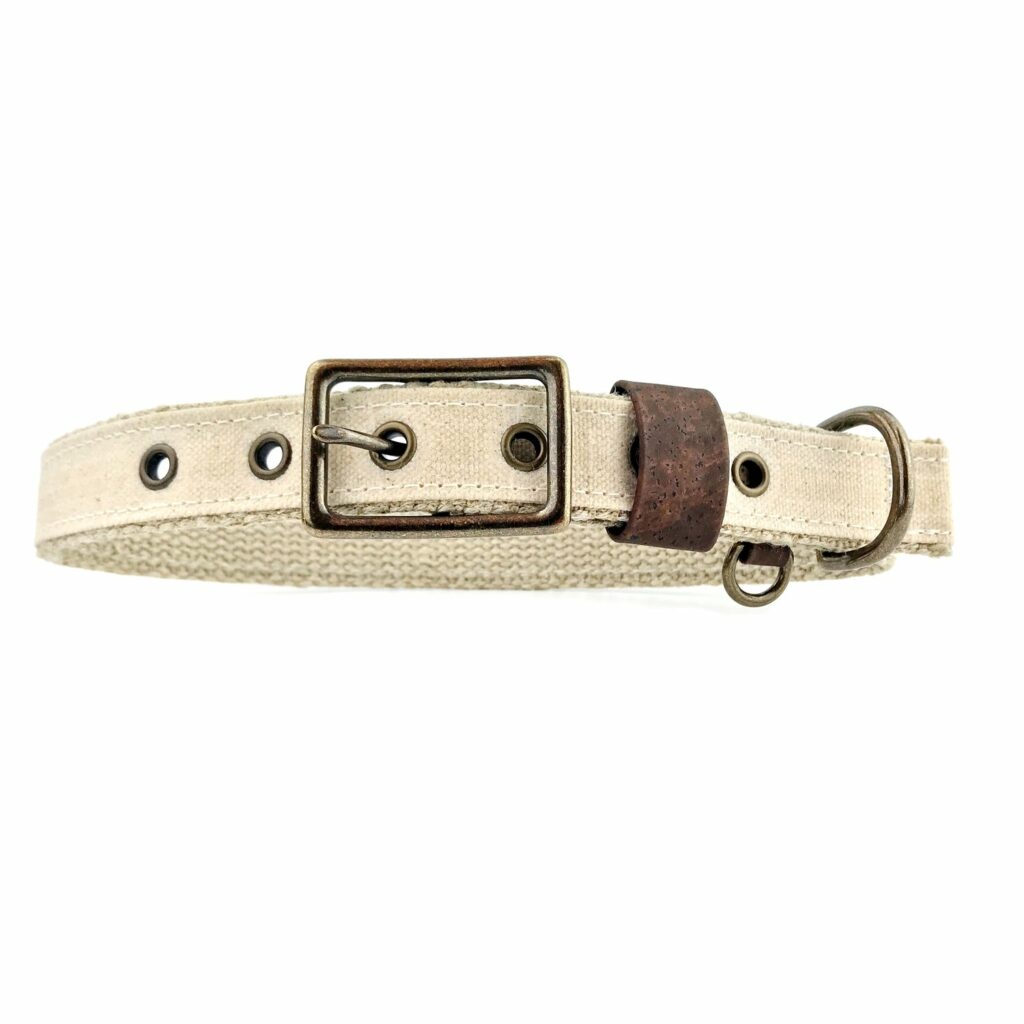Best Dog Boundary Collars - Updated April 2026