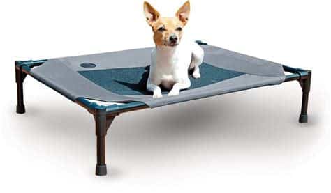 Best Dog Beds For 150 Lb Dogs - Updated May 2026